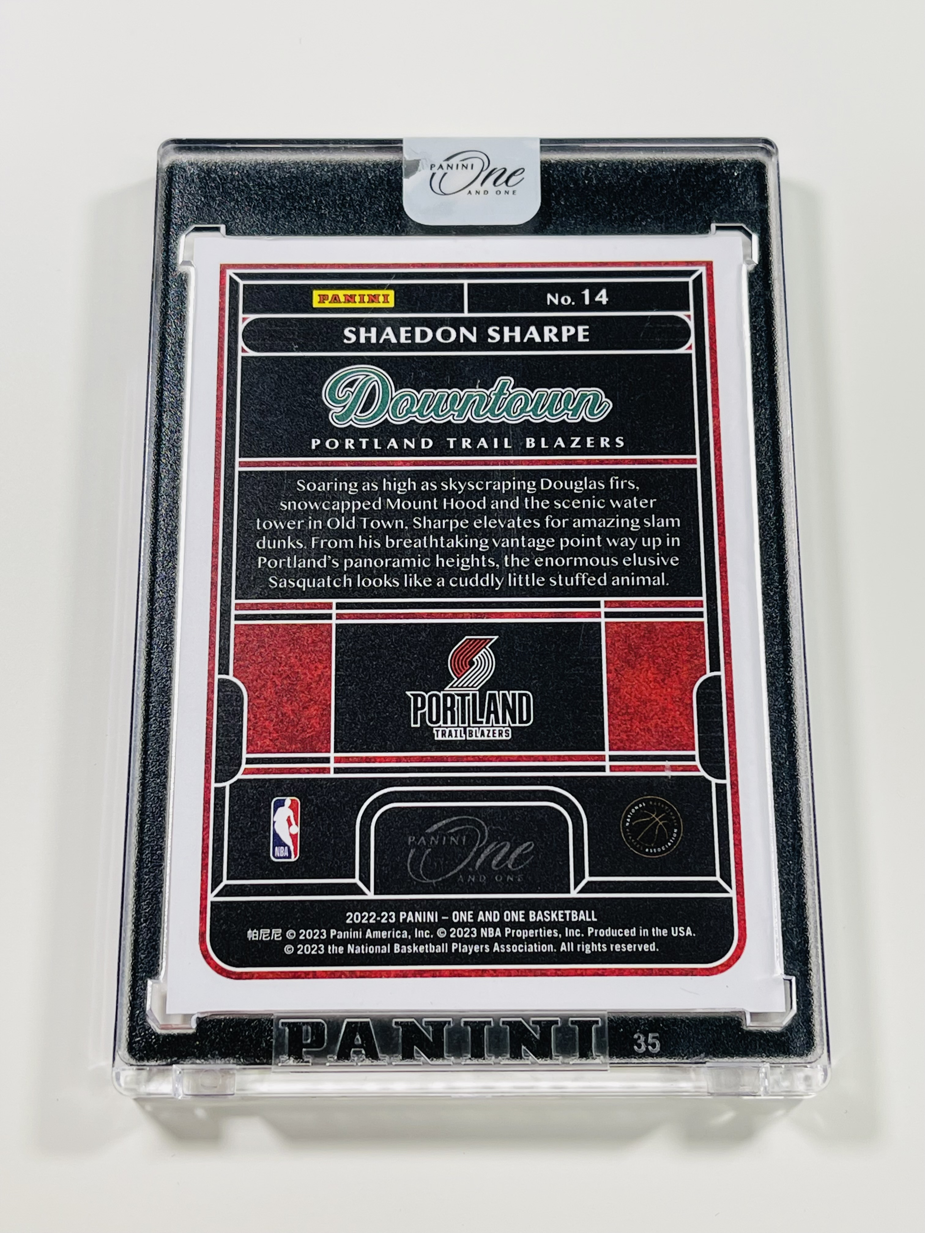 【CHILL官方代拍】硕532 2022-23 Panini One And One 开拓者 Shaedon Sharpe 谢登夏普 RC新秀 ...