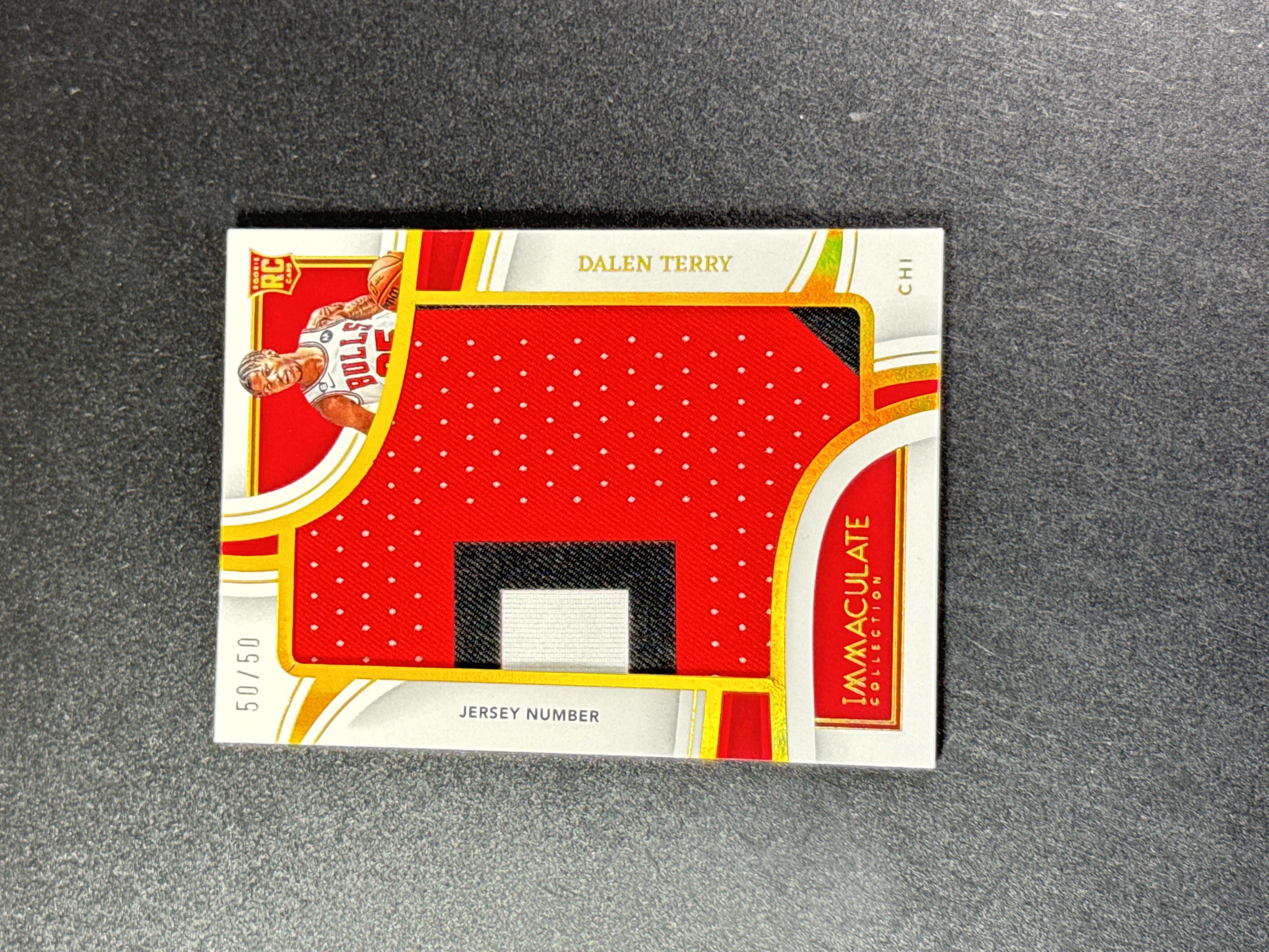 【喷子拍卖】2022-23 Panini Immaculate Dalen Terry 芝加哥公牛 达伦 特里 RC 新秀 大窗 Number ...