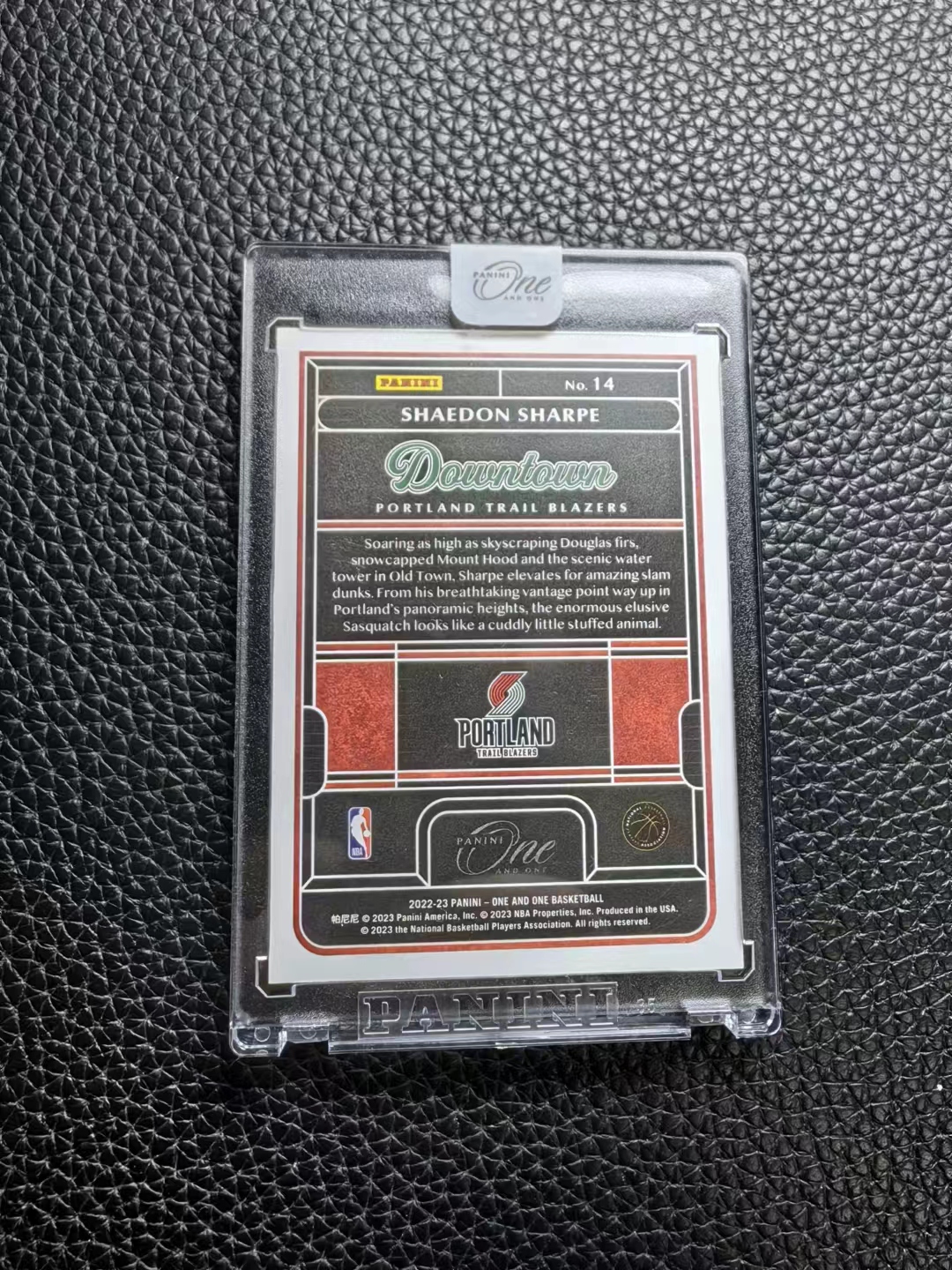 【承接代拍】 2022-23 Panini One and One Shaedon Sharpe RC 谢登·夏普 新秀 潜力 ...