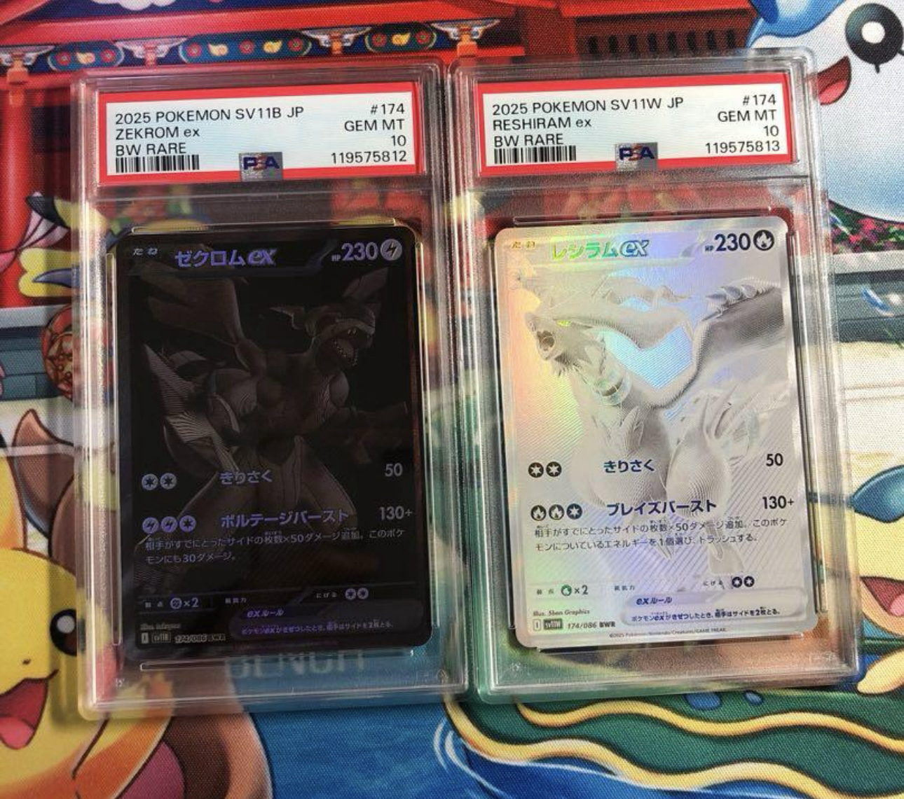 2025 Pokemon TCG SV11B 漆黑伏特 SV11W 纯白闪焰 莱希拉姆ex 捷克罗姆ex BWR 连号 PSA10 ja 卡图经典 收藏价值极高 卡淘