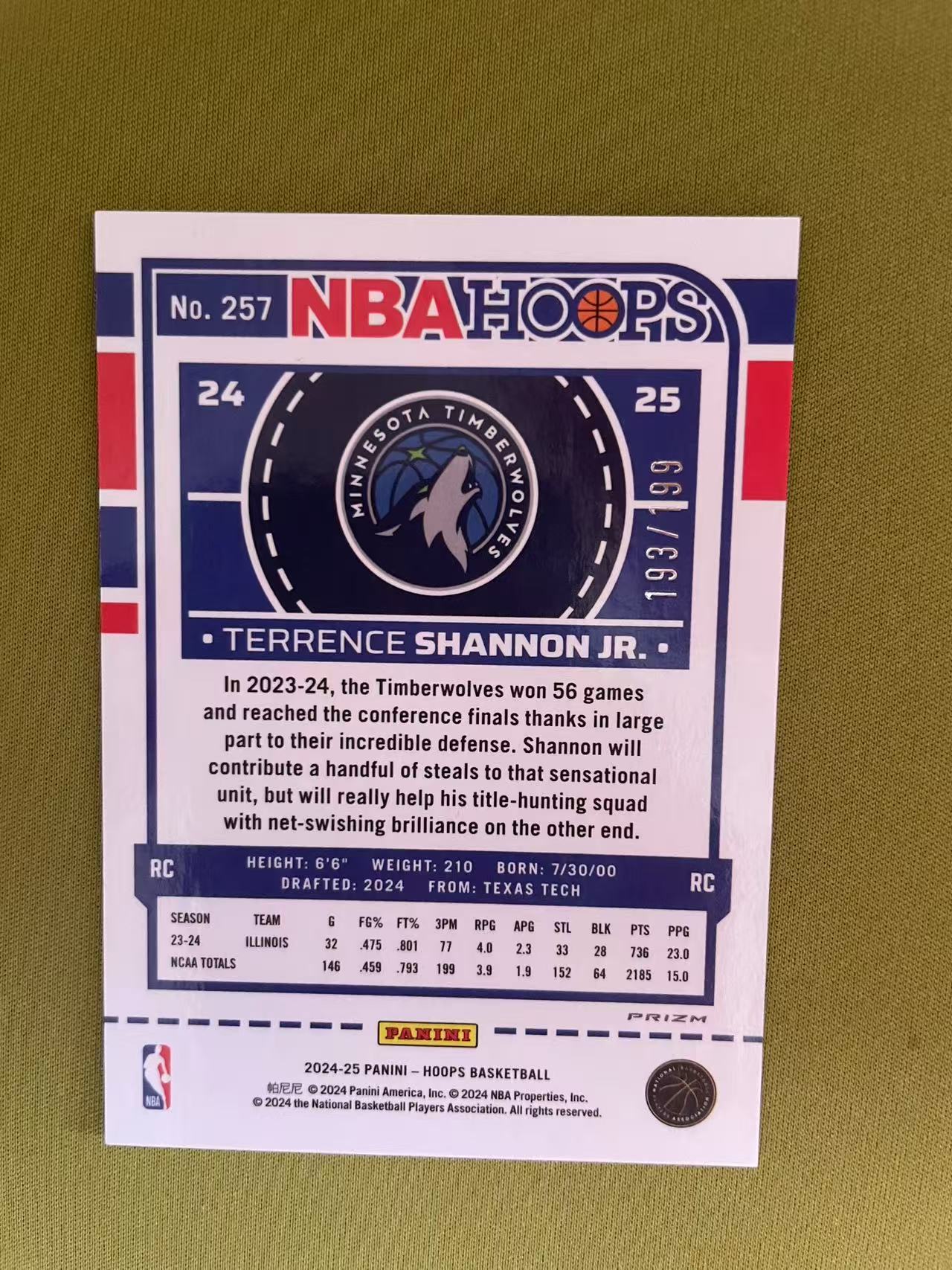 2024-25 Panini NBA Hoops Terrence Shannon Jr. 【黑河代卖 劫镖回款】小特伦斯 香农 新秀 rc ...