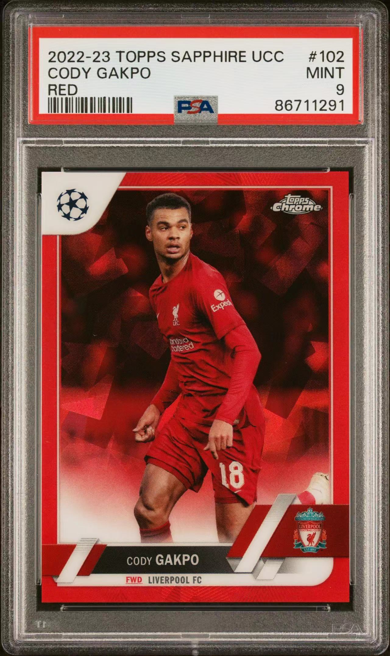 2022-23 Topps Sapphire Chrome Cody Gakpo 【笨笨拍卖】欧冠蓝宝石 英超 利物浦 荷兰 考迪 加克波 2 ...