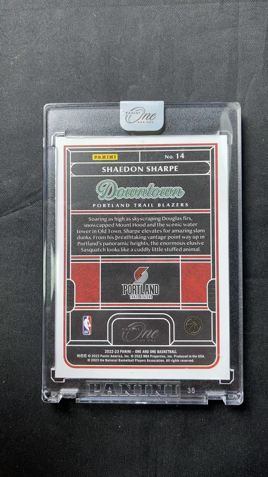 2022-23 Panini One and One Shaedon Sharpe RC 【云霄代卖】one 开拓者 新秀 谢登夏普 ...